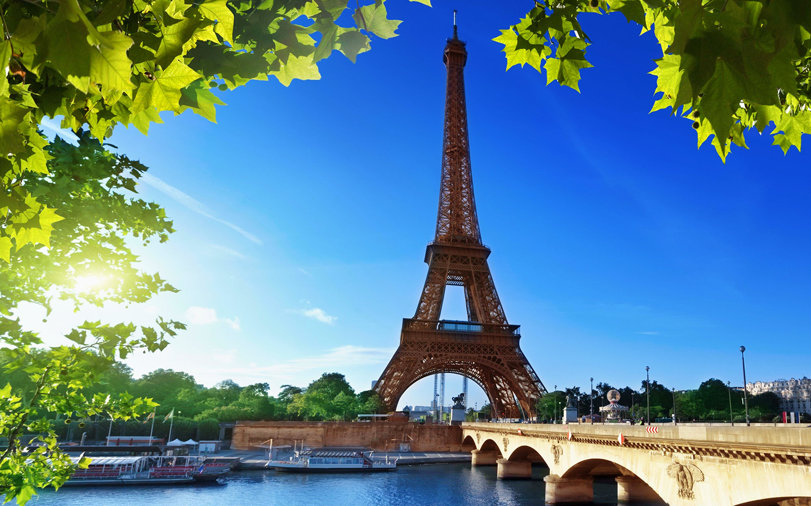 Torre Eiffel de noche | Qué ver y hacer